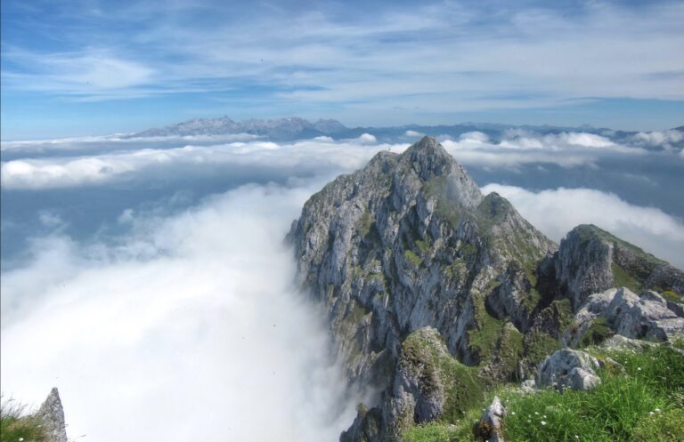 Qué ver en Ponga: 10 cosas imprescindibles que hacer