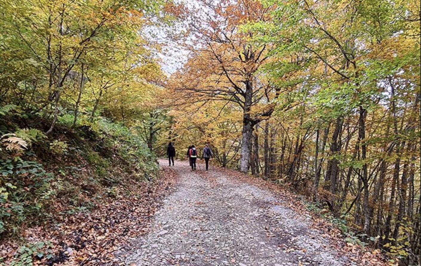 Qué ver en Ponga: 10 cosas imprescindibles que hacer